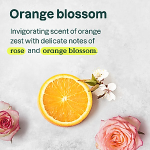 ATTITUDE Nourishing Shampoo for Curly Hair with Moringa Oil, EWG Verified, Vegan and Naturally Derived, 3a, 3b, 3c Curl Type, Provides Lightweight Moisture to Curls, 16 Fl Oz