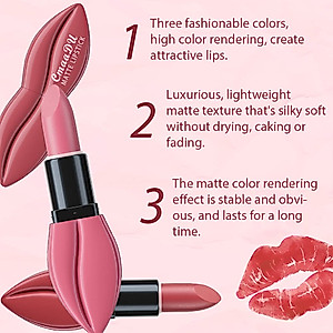 evpct 3Pcs Nude Pink Mauve Brown Matte Velvet Lipstick Set Long Lasting 24 Hours Matte Lip Stick Packs Lip Stain Gloss Makeup Set for Women labiales matte larga duracion 24 05#06#07#