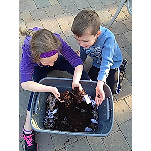 1000 Red Wigglers Composting Worms. Live WWJD worms