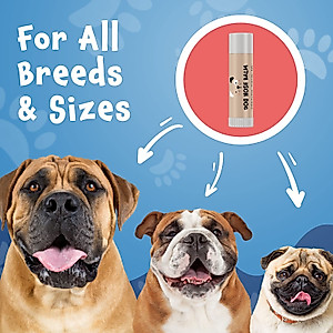 Evergreen Pet Supplies [3 Pack Dog Nose Balm for Soothing Relief from Dryness & Irritation – Snout Balm Provides Seasonal Protection – Nose Butter Dogs Relief Balm Made in USA - 0.15 oz Each