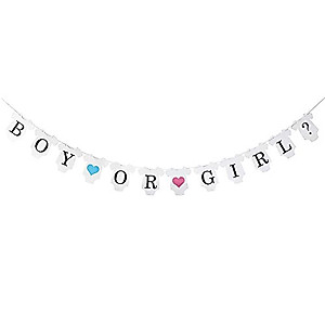 Gender Reveal Party Decorations BOY OR GIRL Banner Glitter Gender Reveal Cupcake Toppers Glitter Gold Pink Blue Triangle Garland Star Garland Tissue Paper Pom Poms Paper Lanterns for Baby Shower Party