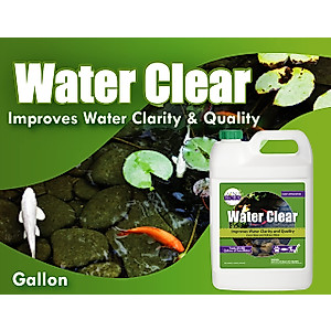 Pondworx Water Clear - Concentrated Formulation Improves Water Clarity and Quality, Helps Clear Cloudy Water, Safe for Fish, Pets, and Plant - 1 Gallon
