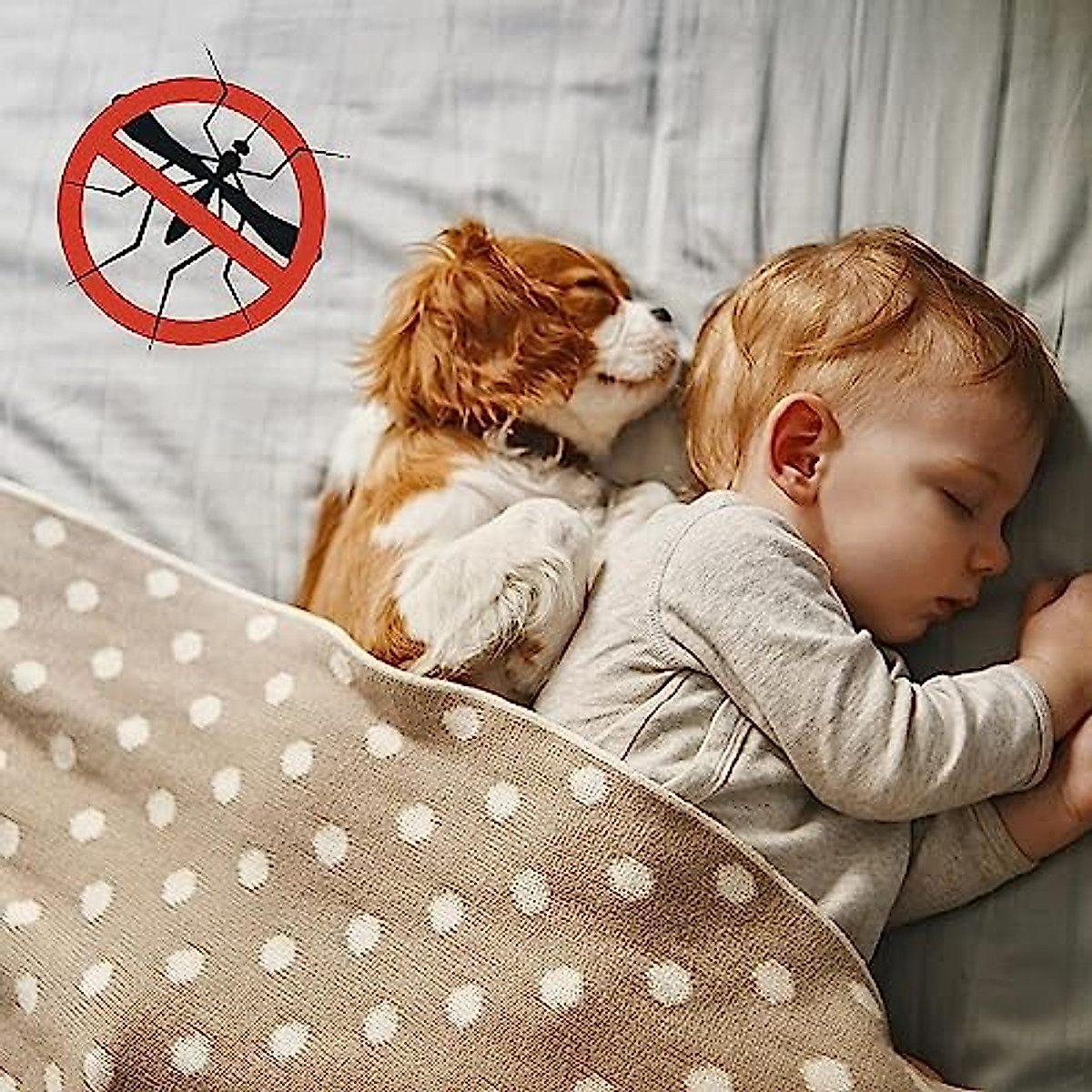 Mesh Door Screen with Magnets Heavy Duty Pet Screen Door Magnetic Screen Door Temporary Screen Door Bug Screen for Doorway (W x L:95x205cm(37×80inch),Coffee)