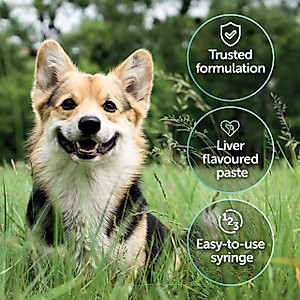 Protexin Veterinary Pro-Kolin Advanced for Dogs Pro-Kolin Advanced for Dogs 15ml