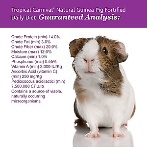 F.M. Brown's Tropical Carnival, Natural Guinea Pig Food, Vitamin-Nutrient Fortified Daily Diet with Vitamin C and High Fiber Alfalfa and Timothy Hay Pellets for Optimum Digestion, 4 lb