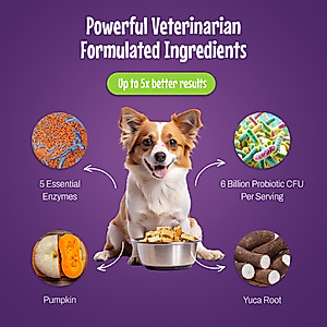 Pawlific Probiotics and Digestive Enzymes for Dogs - Gut Flora, Digestive Health, Diarrhea & Bowel Support - Functional Dog Supplement Soft Chews for Immune System Boost with Pumpkin