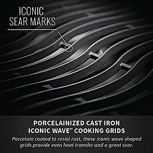 Napoleon Propane Gas Grill