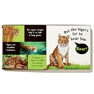 Noisy Animals: Includes Six Sounds! (My First)