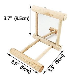 Bird Mirror Bird Swing, Parrot Cage Toys,Swing Hanging Play with Mirror for Macaw African Greys Parakeet Cockatoo Cockatiel Conure Lovebirds Canaries by Old Tjikko，1 PC (3.7x3.5 x3.5inch)