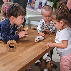 Hanging Coconut Shell Bird Nest Natural Coconut Hideaway Bird House Hut Breeding Nesting Bird Cage Box for Hamster Parakeets Love Birds Canary