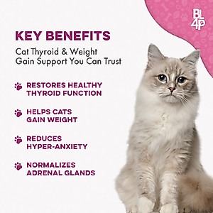 Cat Weight Gain & Hyperthyroidism Treatment - Safe and Effective Cat Appetite Stimulant, Thyroid and Metabolic Support, and Cat Weight Management Remedy - 400 All-Natural Odorless, Tasteless Pills