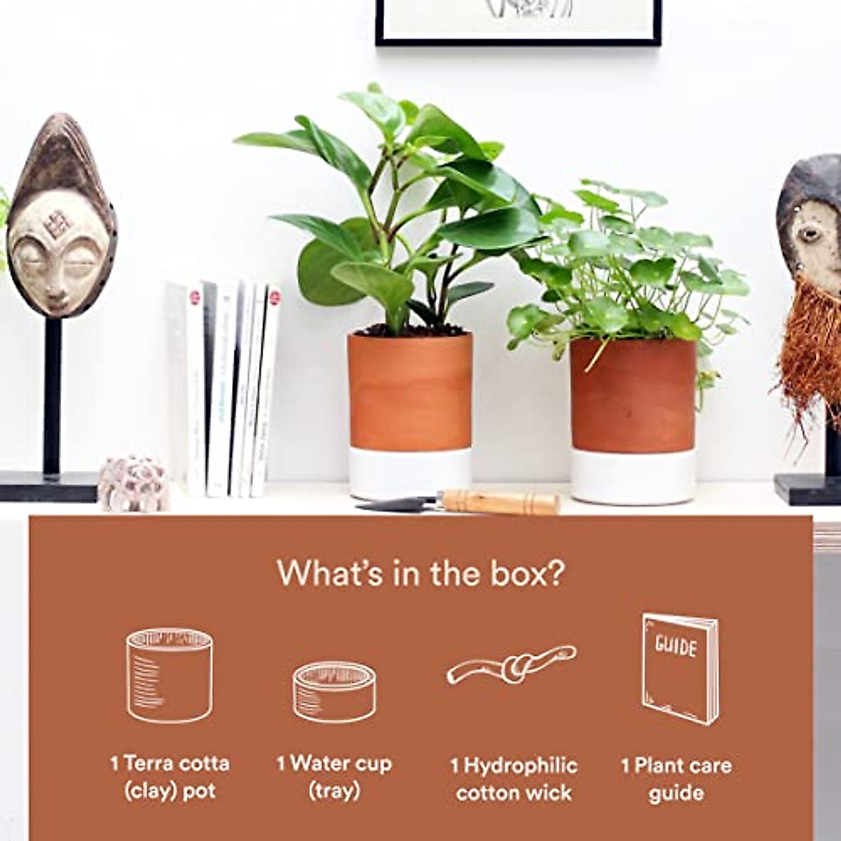 6 inch Self Watering Terracotta Pot with hydrophilic Wick and White Glazed Water Saucer for Indoor Plants, Clay Planter for Orchid, Herbs, and Flowers, Decorative Kitchen Windowsill, home decor