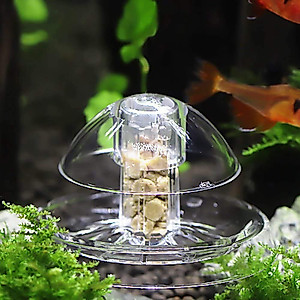 KVSERT 2 Pcs Snail Trap for Fish Tank Aquarium Plastic Clear Snail Trap Planarian Leech Catcher 6cm