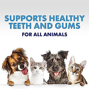 PetSilver Teeth & Gum Spray for Dogs & Cats, Eliminate Bad Breath, Natural Pet Dental Care Solution, Targets Tartar & Plaque, Clean Teeth Without Brushing, Easy to Apply, Chelated Silver, 4 fl oz