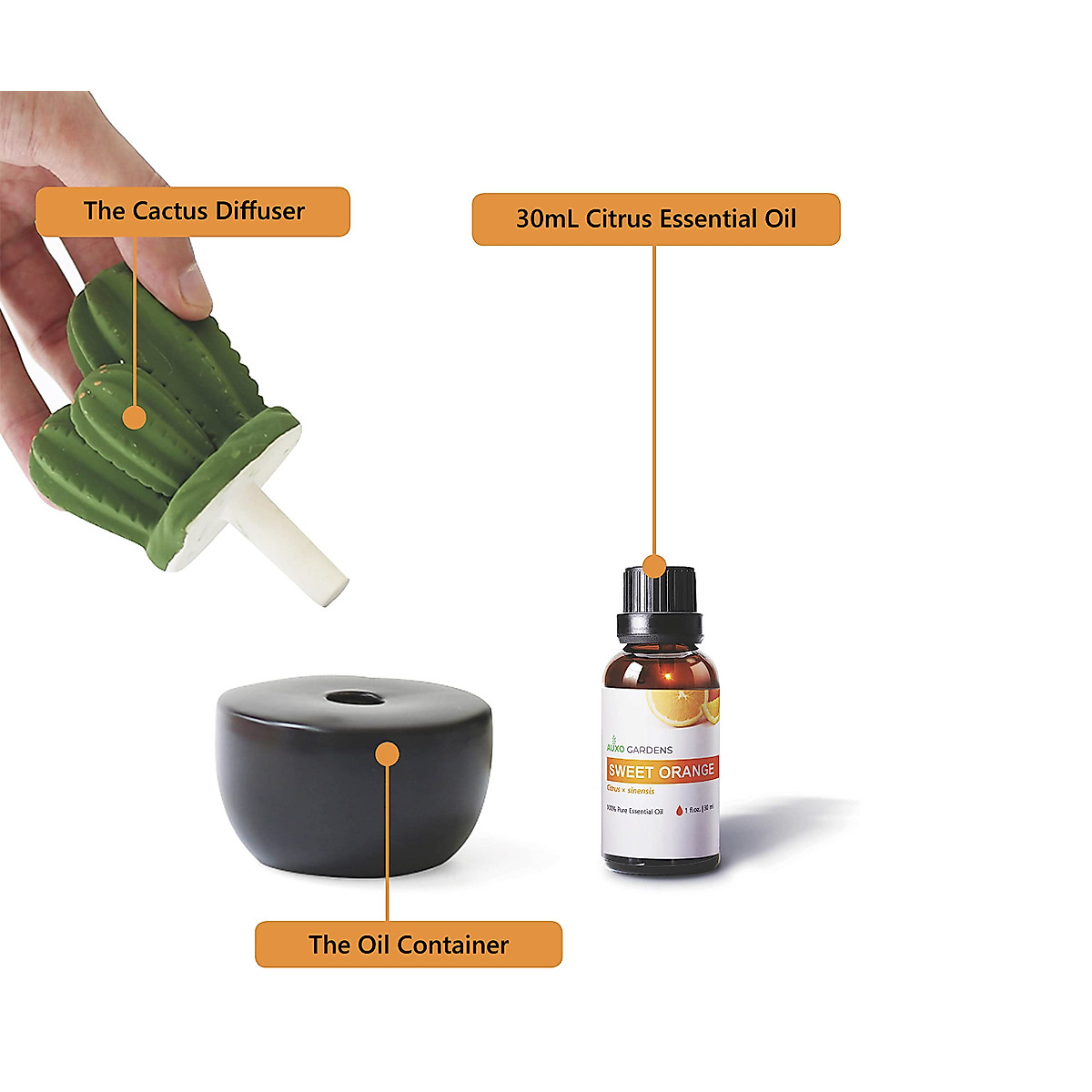 Auxo Gardens Cactus Ceramic Essential Oil Diffuser for Aromatherapy, for Birthday, housing Warming, Holidays, Cute Decoration for Desk and Rooms (Blue Candle)