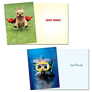 Avanti Press Thank You Greeting Card Variety Pack, 6-Count (32089)