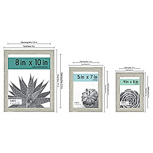 MCS Gallery Essential Picture Frames, Photo Gallery Wall Frame Set with 4 x 6 Inch, 5 x 7 Inch, and 8 x 10 Inch Frames, Gray Woodgrain, 10 Piece