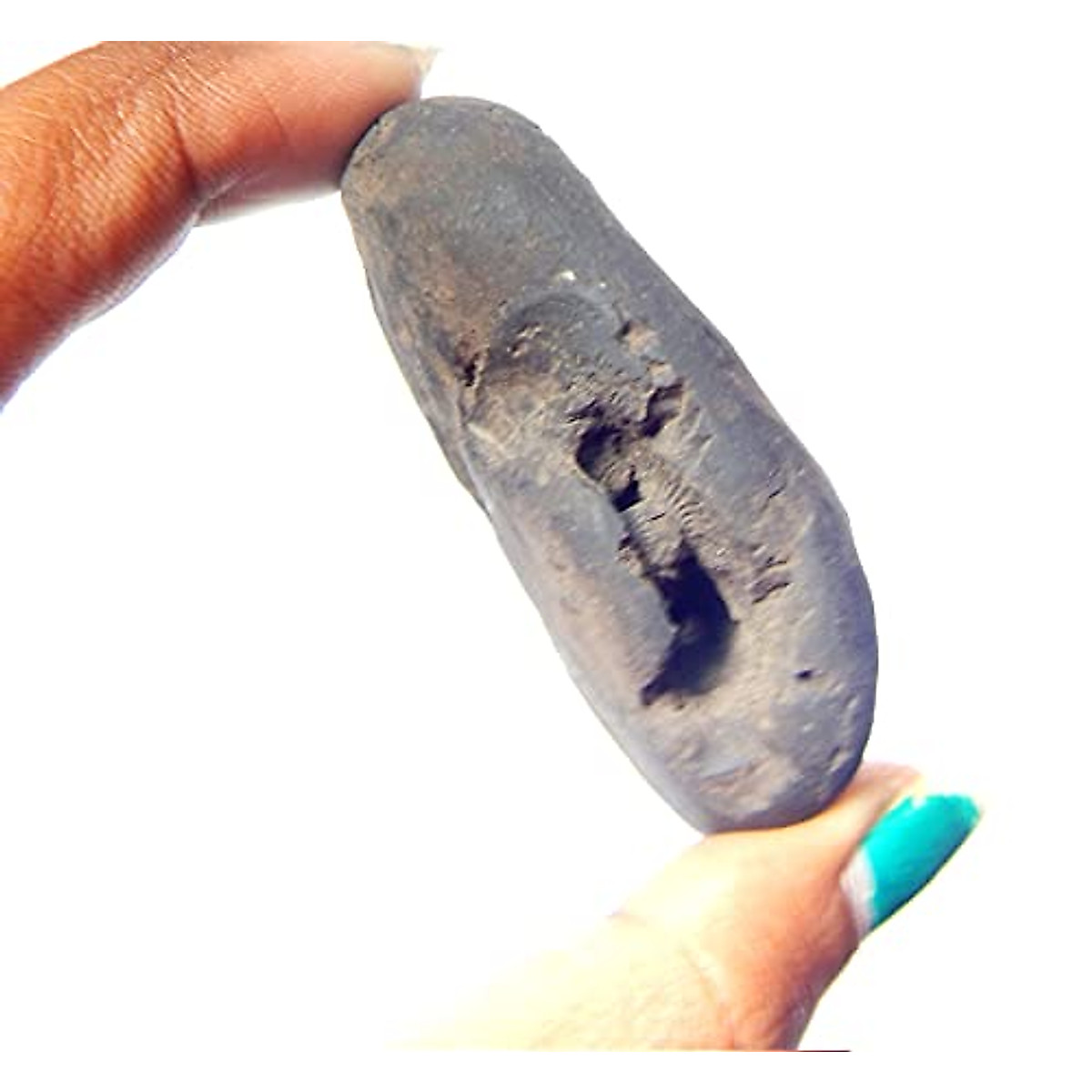 phoenix888 XUETZALCOATL Laxmi janardan shaligram Purnachakra Purnagarbha Shaligram Nepal Kali Gandki