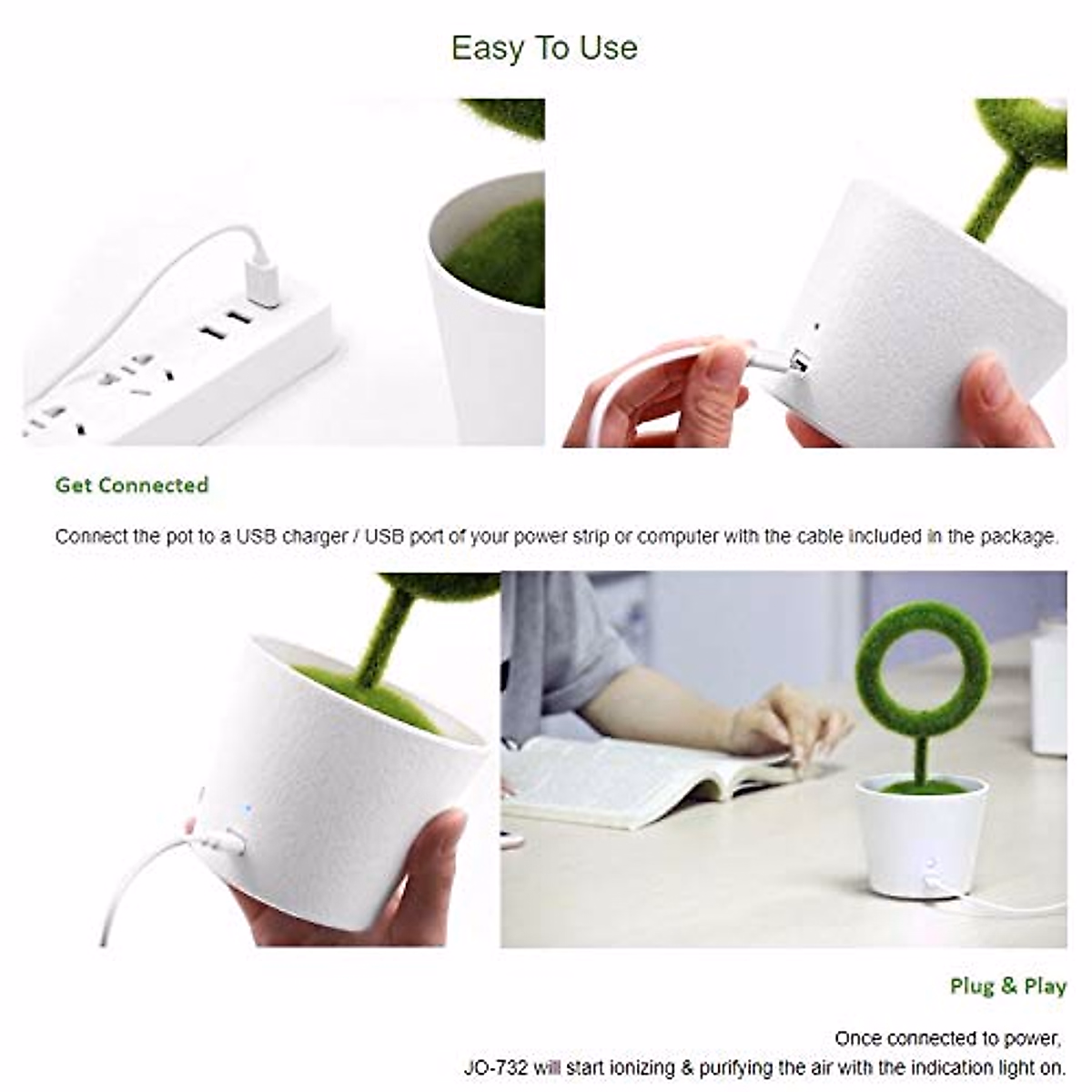 Rockwood Plant Air Purifier