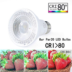 Hanway Recessed Daylight LED Light Bulbs Dimmable Energy Efficient 5000K Par Lamps with 9W(90Watts) E26 Base Indoor Outdoor Par20 Flood Lights Bulbs White Light 6 Pack