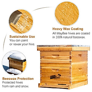 Beehive 8 Frame Bee Hives and Supplies Starter Kit, Bee Hive for Beginner, Honey Bee Hives Includes 1 Deep Bee Boxes, 1 Bee Hive Super with Beehive Frames and Foundation