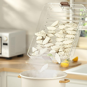 Dumpling Storage Box with Lids, Large Capacity Stackable Food Containers, Multi Layer Transparent Plastic Airtight Food Container Kitchen Supplies for Kitchen Fridge (2 Layers)