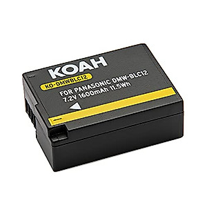 Panasonic LUMIX G7 Interchangeable Lens (DSLM) Camera with 14-42mm Lens (Silver) and Koah Mic Bundle (6 Items)