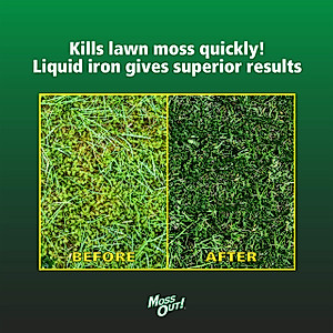 CENTRAL GARDEN BRANDS Lilly Miller Moss Out for Lawns Ready to Spray 32oz, 1-(Pack)