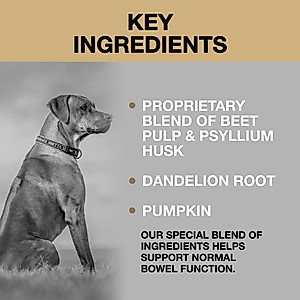 Nutriline Labs Anal Gland Support Soft Chews for Dogs - Dog Supplements with Beet Pulp, Psyllium Husk, Dandelion Root & Pumpkin - Digestive & Gut Health, Normal Bowel Function - Beef Flavor, 120 Count