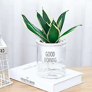 PERZOE Self-Watering Planter Plastic Plant Pot Automatic Water Absorbing Round Flower Bonsai Pot with Cotton Ropes for Home Garden Yard White