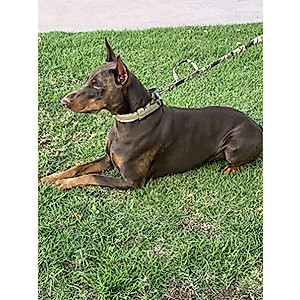 Tactical Dog Military Collar and Leash Set (Medium, Camo Tan)