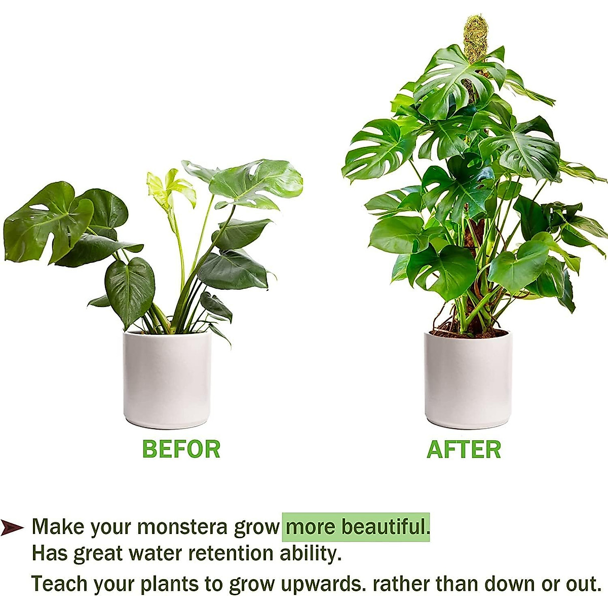 Moss Pole,Moss Pole for Plants Monstera,2 Pack Extending to 27inch Natural Forest Moss Poles for Climbing Plants,Plant Poles for Potted Plants Indoor,Moss Stick Used Separately or Joined Together.