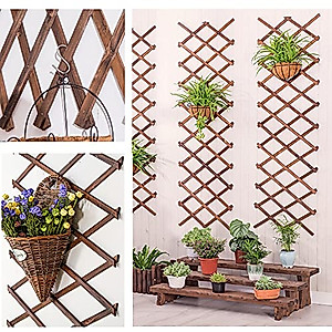 Avalution Extensible Natural Garden Wooden Fence Lattice Frame Plant Support Frame Natural Wooden Lattice Frame for Cucumber Climbing Plant Vines Ivy Rose 75"x11.8" Lattice Fence Panel(2Pack)