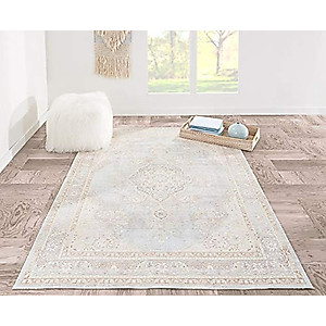 Momeni Rugs Isabella Traditional Medallion Flat Weave Area Rug, 7'10" X 10'6", Blue