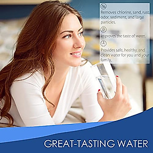 BB9-2 Water filter, Black Purification Elements Water Purifier Replacement Filters Compatible with Gravity Filter System, Doulton Super Sterasyl and Propur Traveler, King, Big Series, 4 Pack