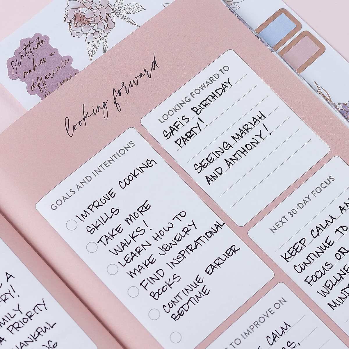 Gratitude Journal/Planner, Edition 3 - Flora. Daily Reflection Notebook. Daily Quotes and Reflection Logs. Sticker Sheet Included. Portable Petite Planner by Erin Condren.