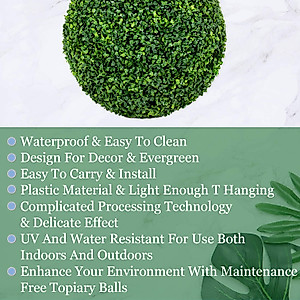 AUEAR, Artificial Boxwood Topiary Plant Balls Decorative for Table Decoration Garden Wedding Decor (7 Inch Diameter, 2 Pack)