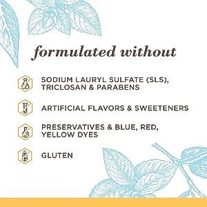 Burt's Bees Extra White Toothpaste, Fluoride Toothpaste, Natural Flavor, Mountain Mint, 4.7 oz, Pack of 3