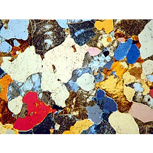 AmScope PZ200BA Polarizing Binocular Microscope, WF10x and WF16x Eyepieces, 40X-640X Magnification, Strain-Free Plan Achromatic Objectives, Polarizing and Brightfield Configurations, Halogen Illumination, Bertrand Lens, Abbe Condenser, Round Graduated Sta