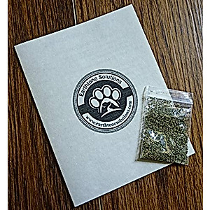 Cat Cave Bed, Orange Green Handmade Felted Merino Wool, Large Covered and Cozy, Also Perfect for Kittens, Includes Bonus Catnip, Original Cat Caves, (Radiant Realm)