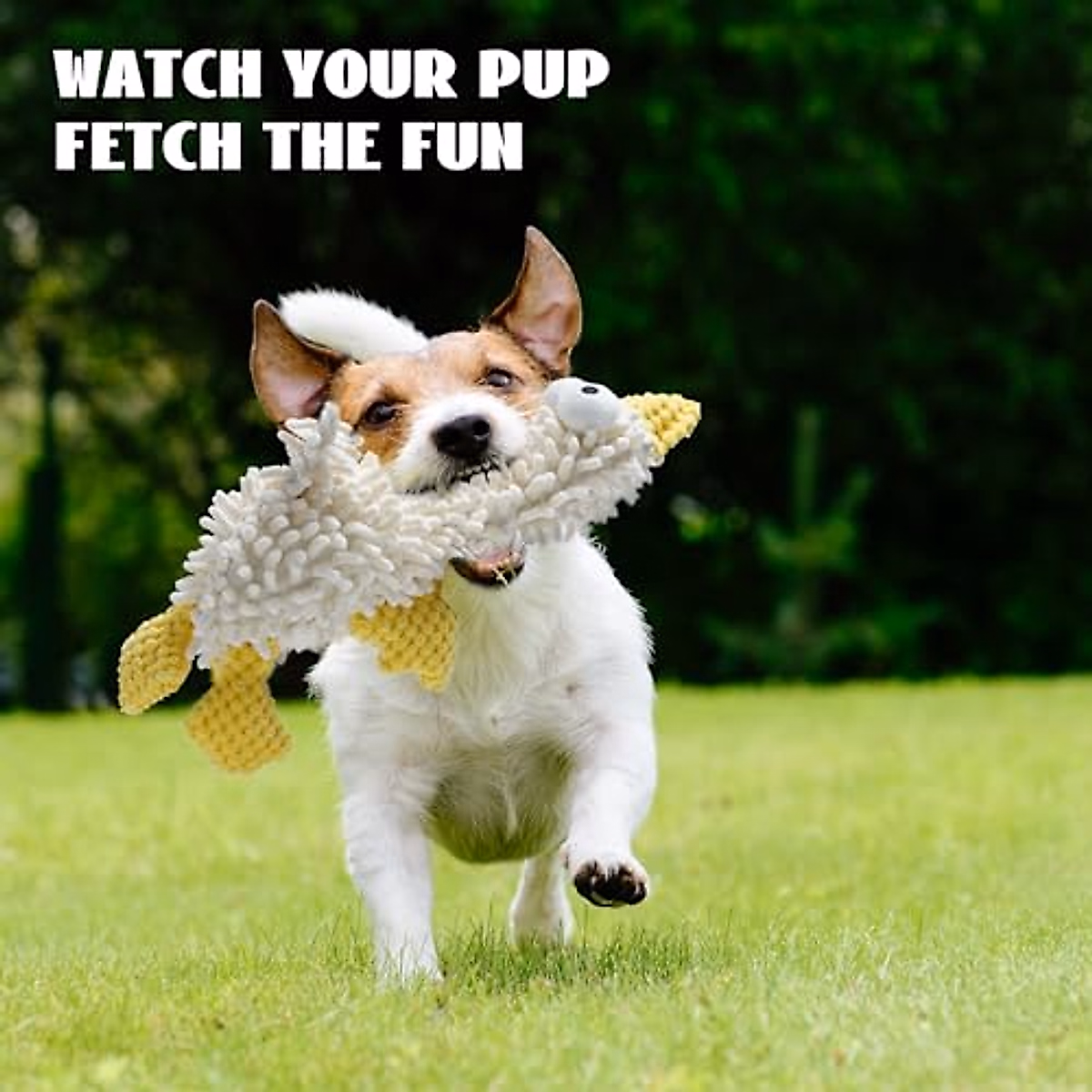 Nocciola Plush Squeaky Dog Toys, Cute Durable Stuffed Crinkle Puppy Pet Chew Toys for Large Medium Small Dogs - Duck