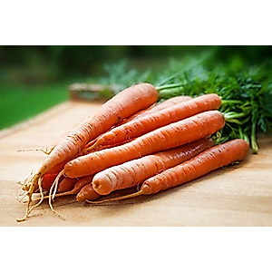 Gaea's Blessing Seeds - Carrot Seeds - Tendersweet - Non-GMO Seeds with Easy to Follow Planting Instructions - Heirloom Net Wt. 1.5g Germination Rate 91%