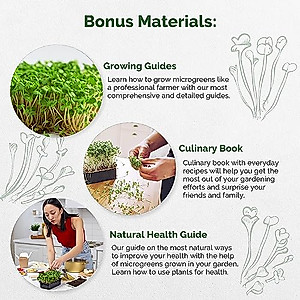 Organo Republic Alfalfa Sprouting & Microgreens Seeds - Non-GMO, Heirloom Sprout Seeds Kit in Bulk 1lb Resealable Bag for Planting in Soil, Coconut Coir, Garden, Hydroponic System