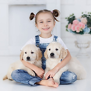 Abeillo 2 Pieces Baby Crown Baby Crystal Princess Tiaras Newborn Photography Props Children Headband Infant Elastic Hair Band Crown for Baby Girl Birthday Party (Silver)