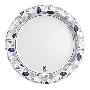 Dixie Ultra Paper Plates, 10 1/16 inch, Dinner Size Printed Disposable Plate, 172 Count (4 Packs of 43 Plates), Packaging and Design May Vary