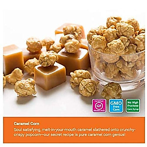 Popcornopolis Gourmet Popcorn – Premium Pack of 4 Popcorn Mini Cones & Exclusive Inspirational Sticker! Small Storage Space Friendly & Great Stocking Stuffers!