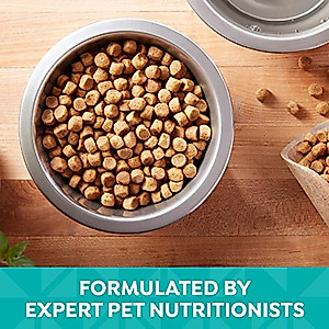 Nature’s Recipe Easy to Digest Dry Dog Food, Chicken, Rice & Barley Recipe, 24 Pound Bag