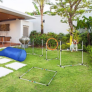 PawHut Dog Agility Equipments, 5 Pieces Obstacle Courses Training Starter Kit, Pet Outdoor Games of Tunnel, Dog Jump, Hoop, Weave Poles, Pause Box and Easy Carry Case