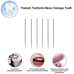 XINYUWIN Mini Pocket Toothpick Holder with 6PCS Reusable Titanium Toothpicks, Portable Outdoor Stainless Steel Toothpick Fruit Picks with Keychain for Camping Picnic