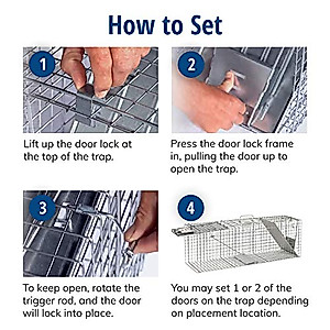 Havahart 1045SR Large 2-Door Humane Catch and Release Live Animal Trap for Armadillos, Beavers, Bobcats, Small Dogs, Cats, Foxes, Groundhogs, Nutria, Opossums, Raccoons, and Similar-Sized Animals